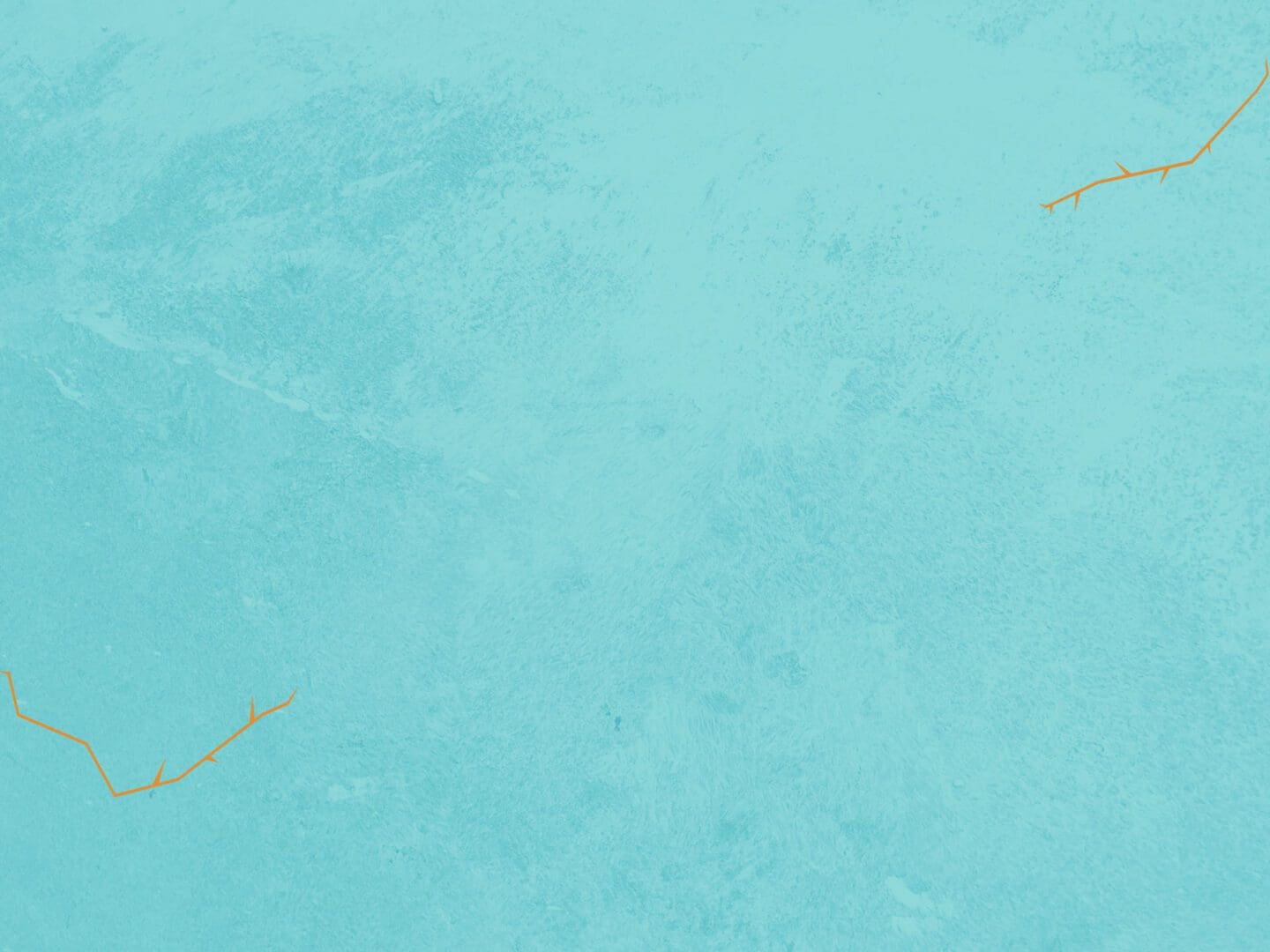 fond-inebranlable - Evangile 21