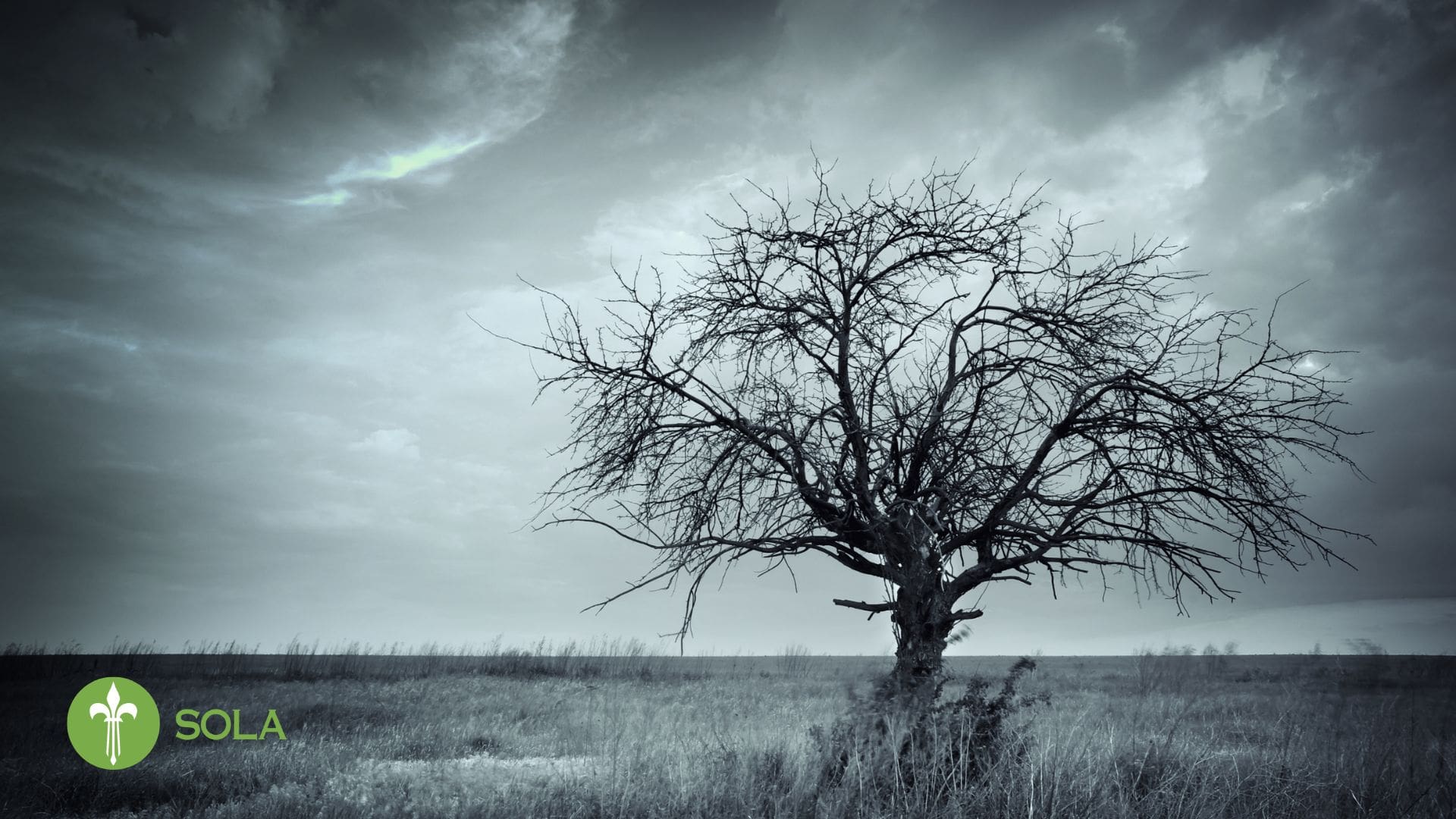 Une partie de moi-même est morte quand je suis devenu pasteur - Evangile 21