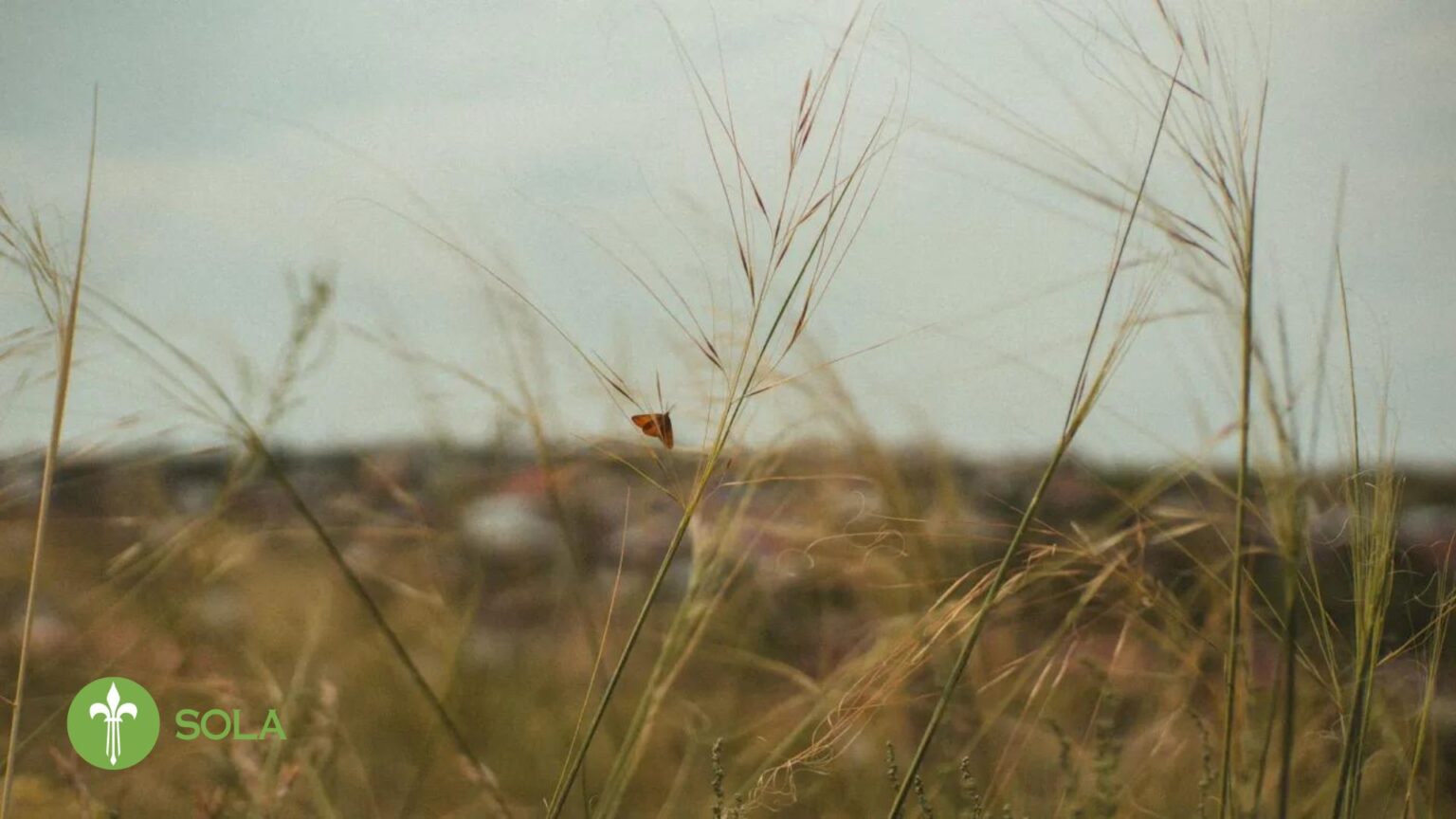 5 choses que nous apprend Exode 25 sur l’offrande - Evangile 21