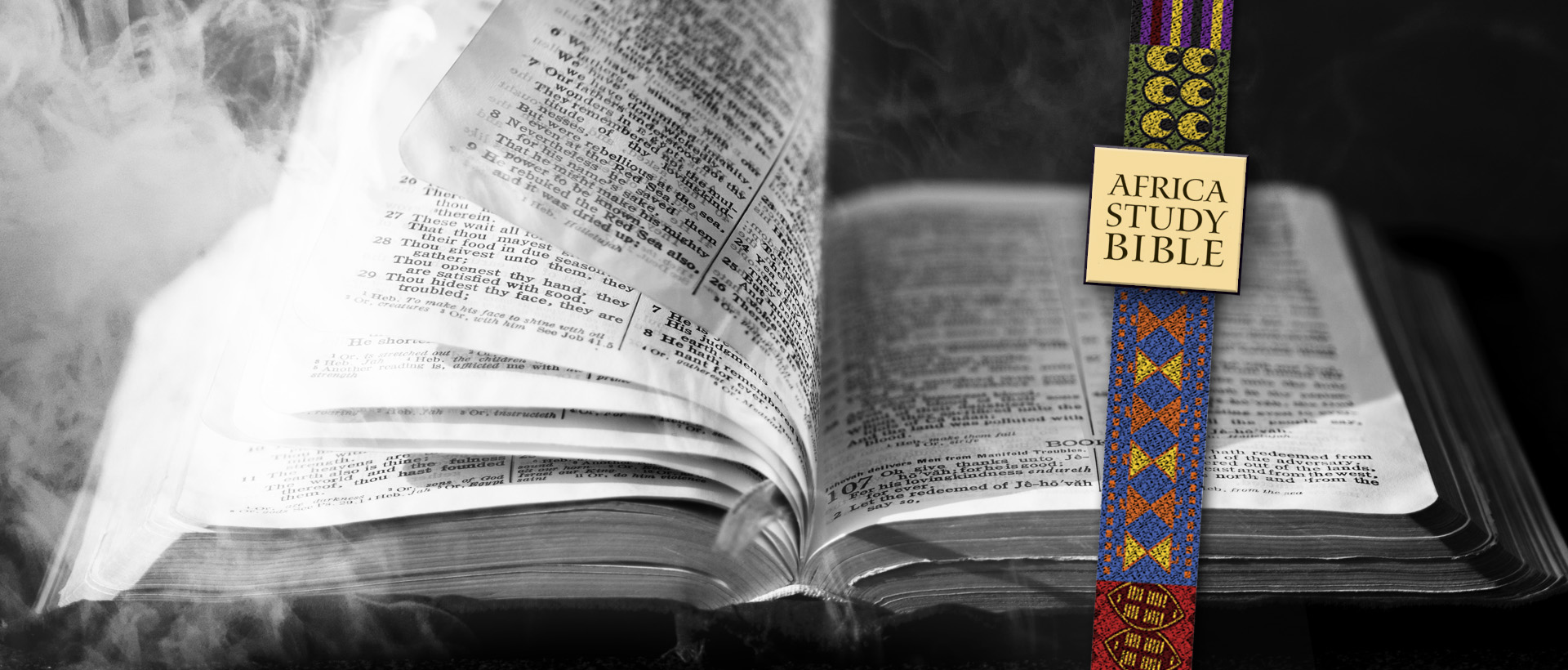 The Story of the Bible // Africa Study Bible - TGC Africa