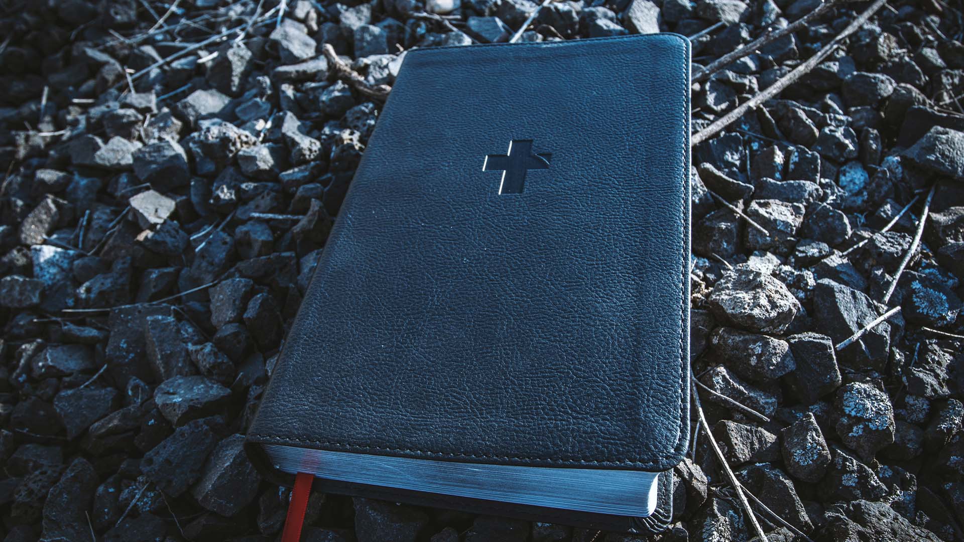 By Scripture Alone - Sola Scriptura // Conrad Mbewe - TGC Africa