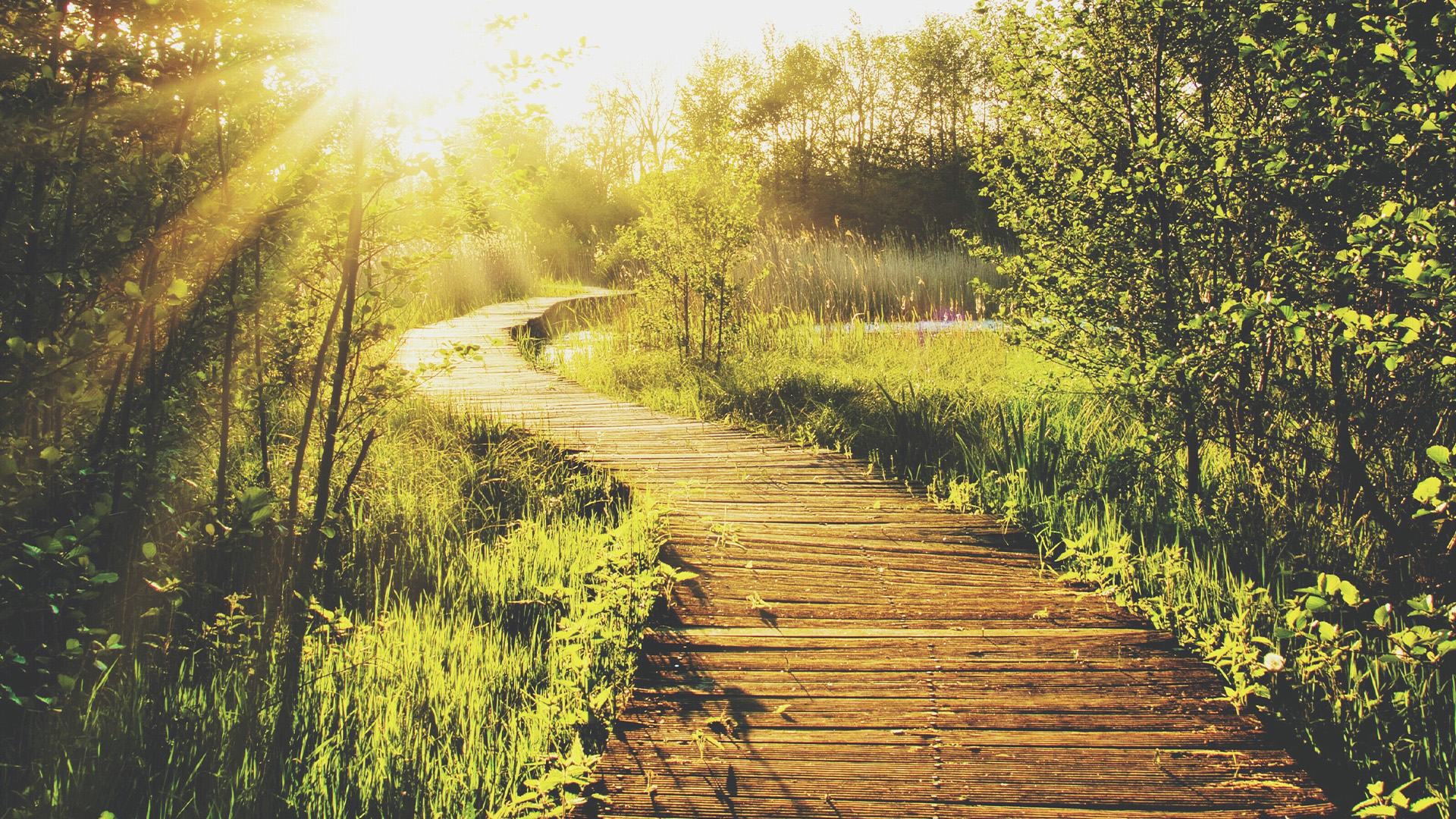 Are You Walking In The Light? | 1 John 1 // Conrad Mbewe - TGC Africa