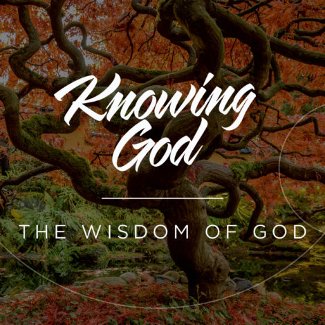 6 Reasons Why Secular Work Is Worship - TGC Africa