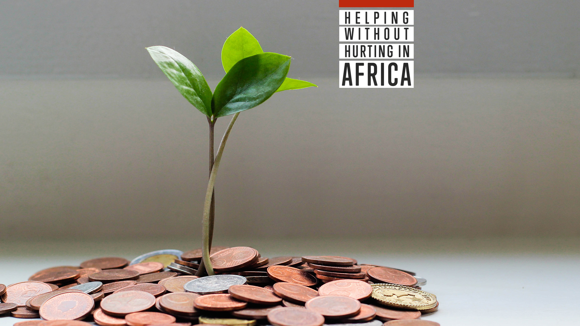 Is Wealth Creation Evil? - TGC Africa