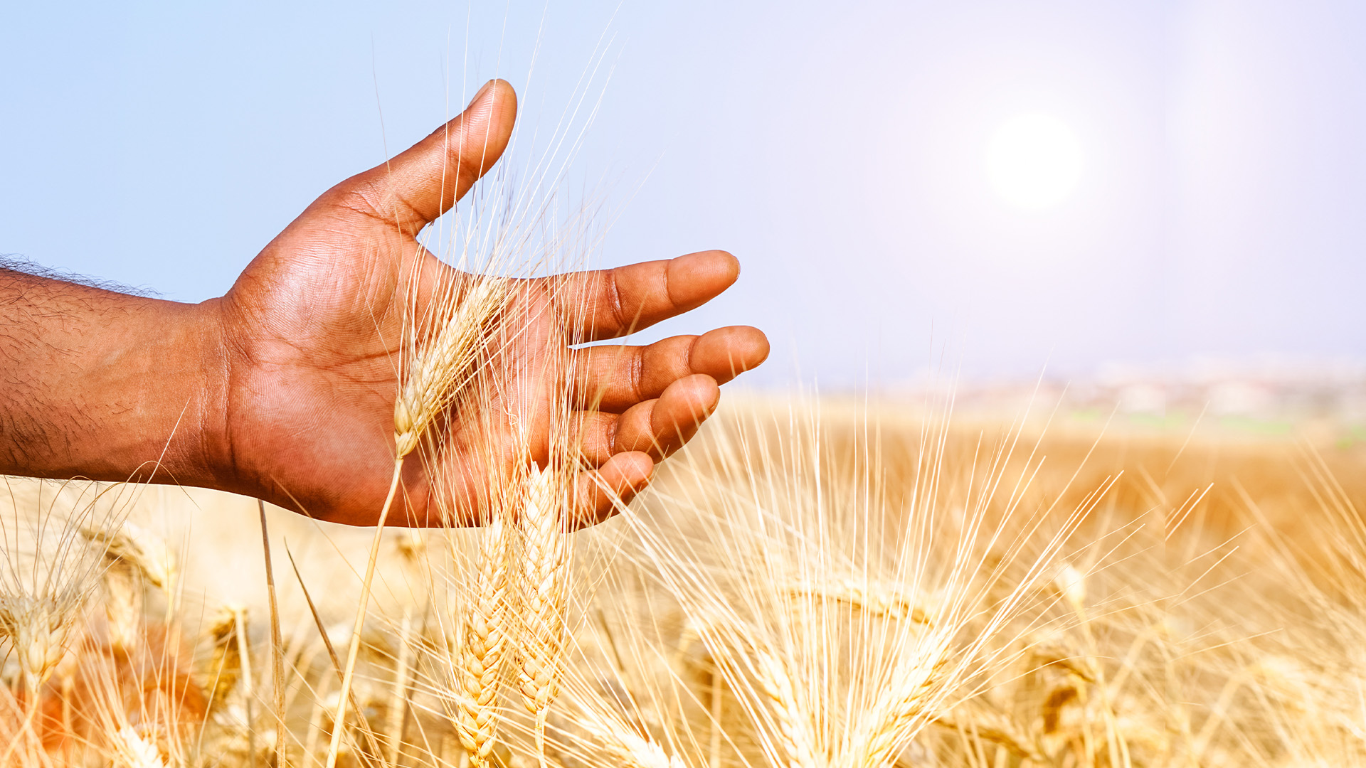 The Gospel Coalition Africa // The Gospel For All of Life