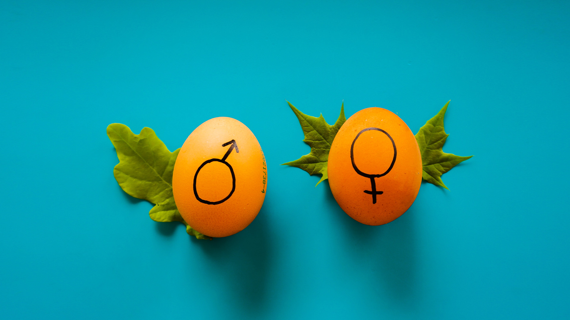 The Perfect Image: Understanding Gender in Light of Jesus - TGC Africa