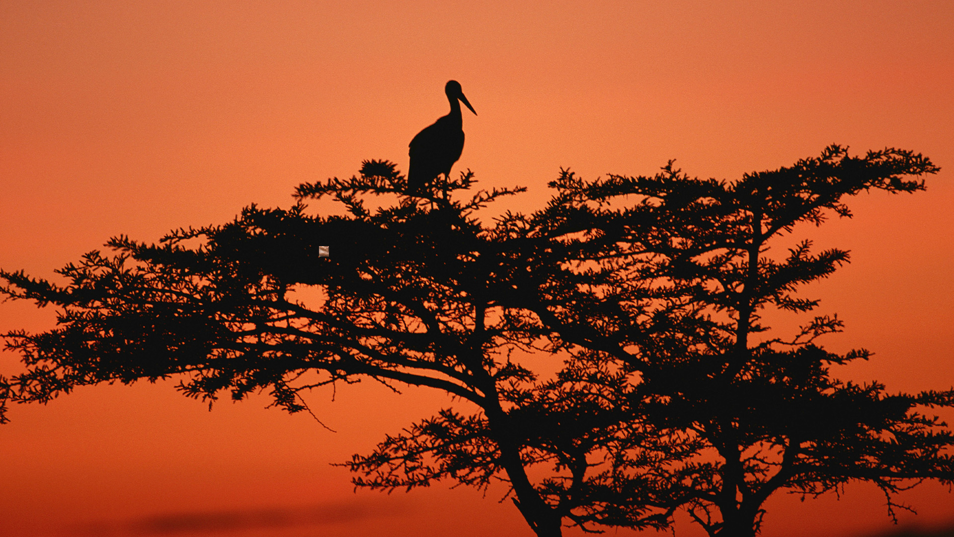 Anger 101: The Difference Between Your Anger And God’s - TGC Africa