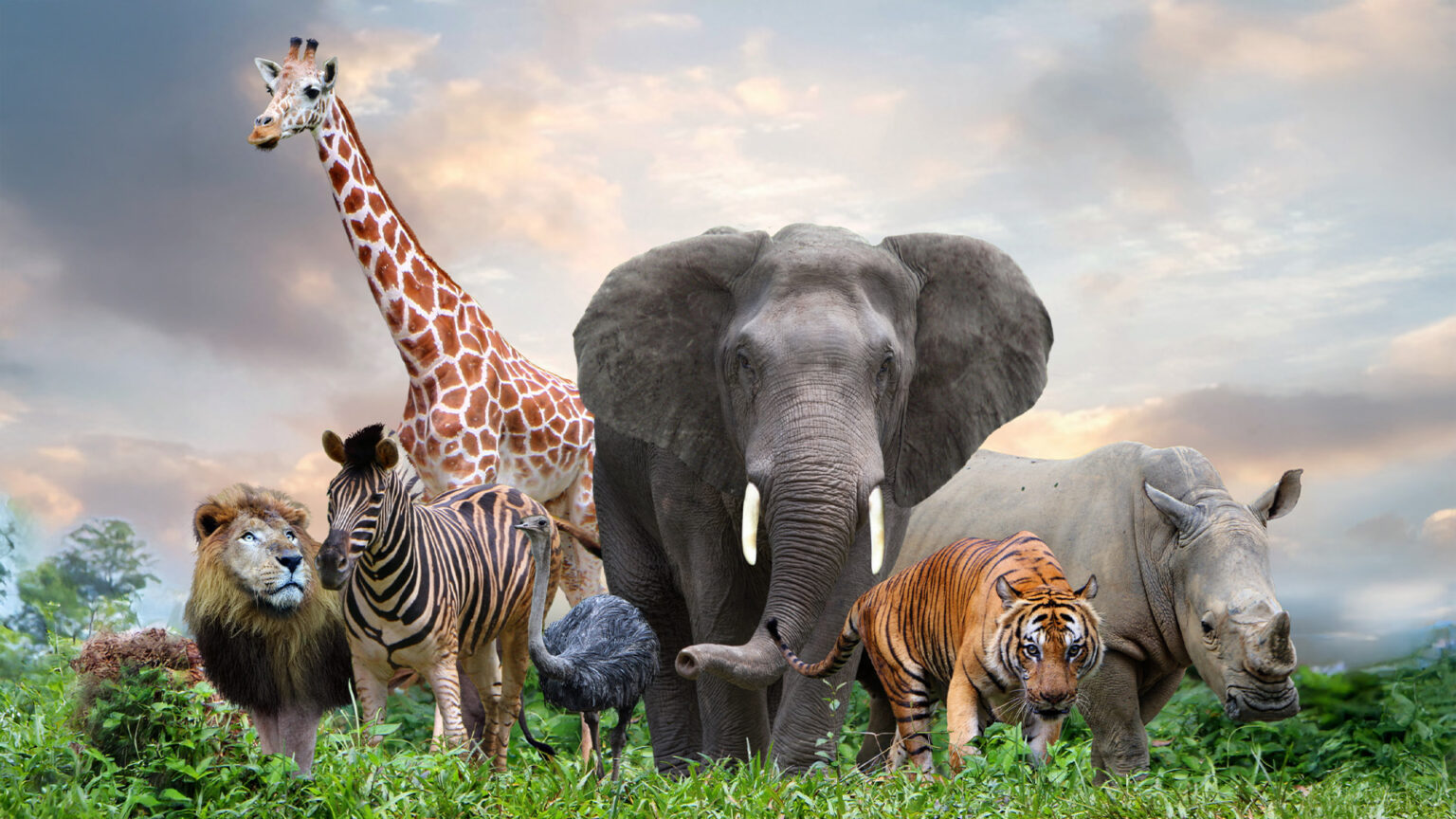 Daniel 9: A Biblical Template for Prayers of Confession - TGC Africa