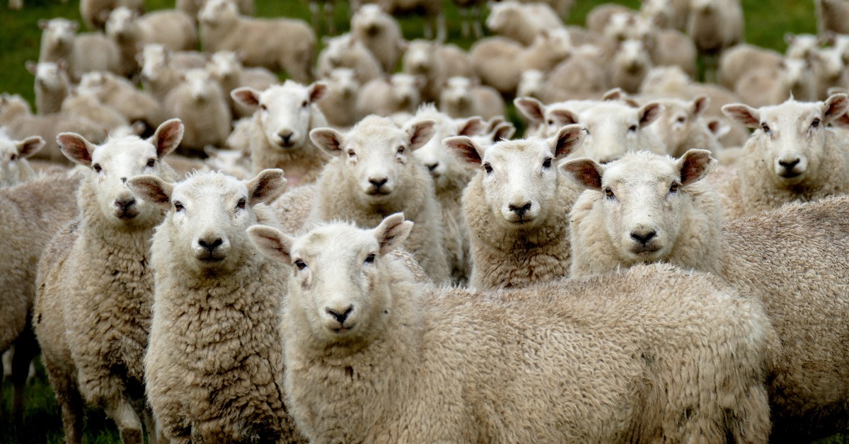 4 Razões Porque Pregar o Livro de Judas - Coalizão pelo Evangelho (TGC ...